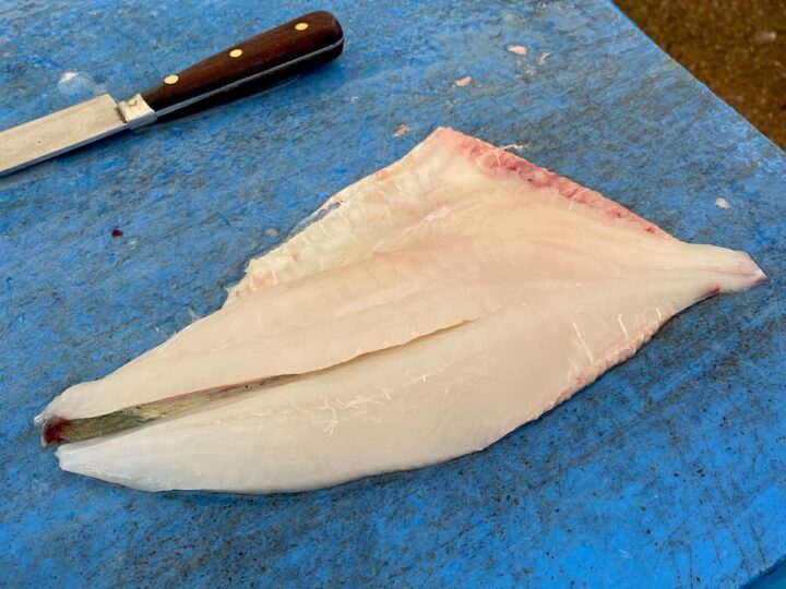 John Dory Fish (easy pan-fried recipe)