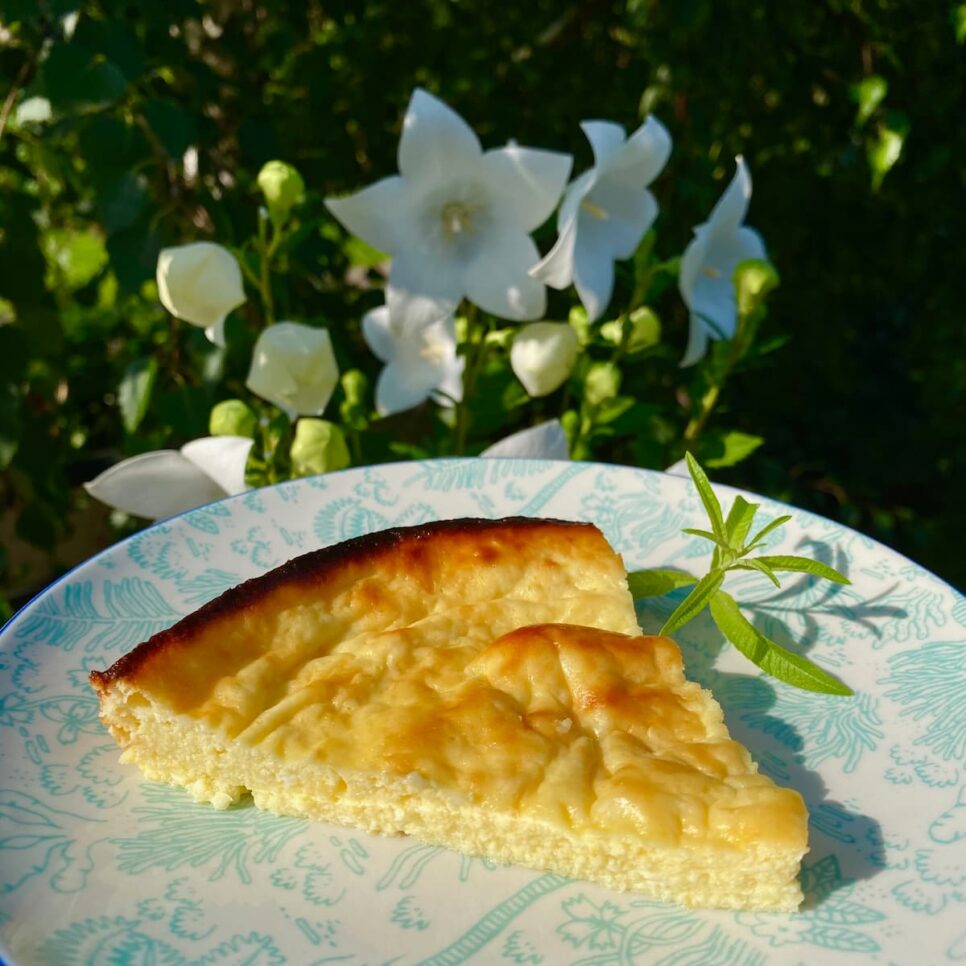 Fiadone Corsican Cheesecake