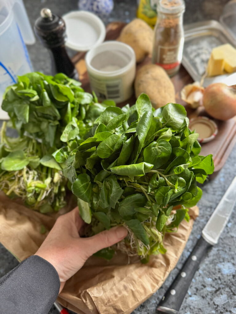 French Watercress (A Guide to Varieties, Pairings and Recipes)