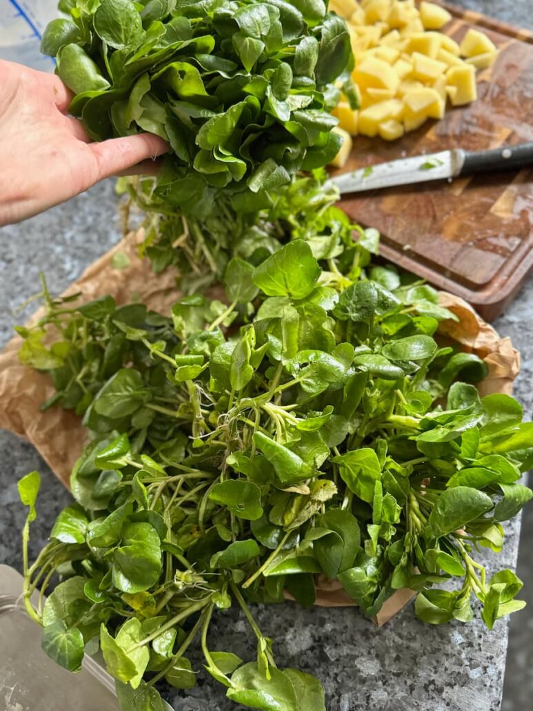 Watercress Soup (Soupe au Cresson)