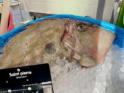 John Dory Fish (easy pan-fried recipe)
