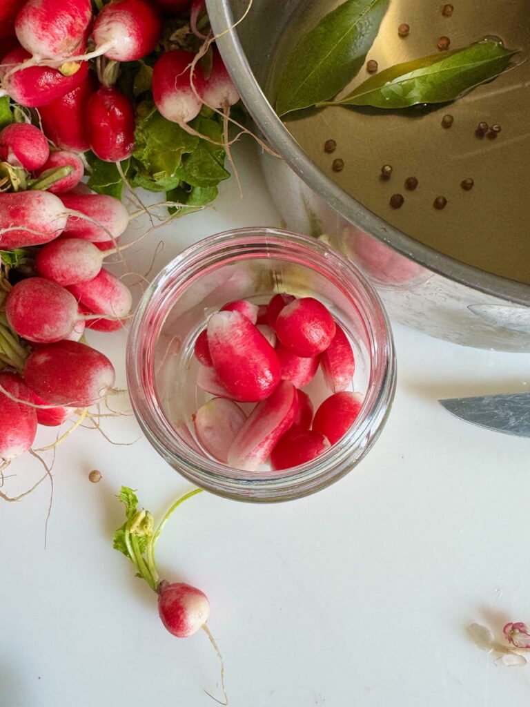 Pickled Radishes (Quick Recipe Without Sugar)