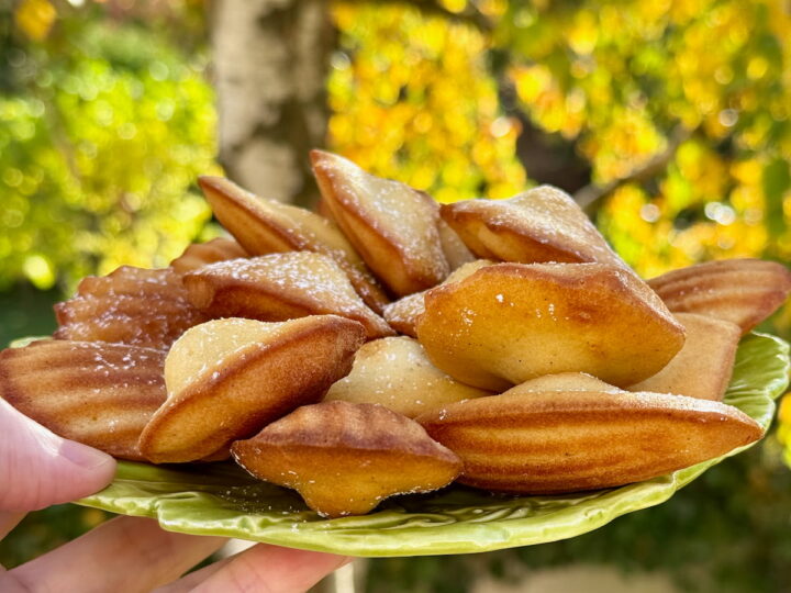 Classic French madeleine recipe with lemon